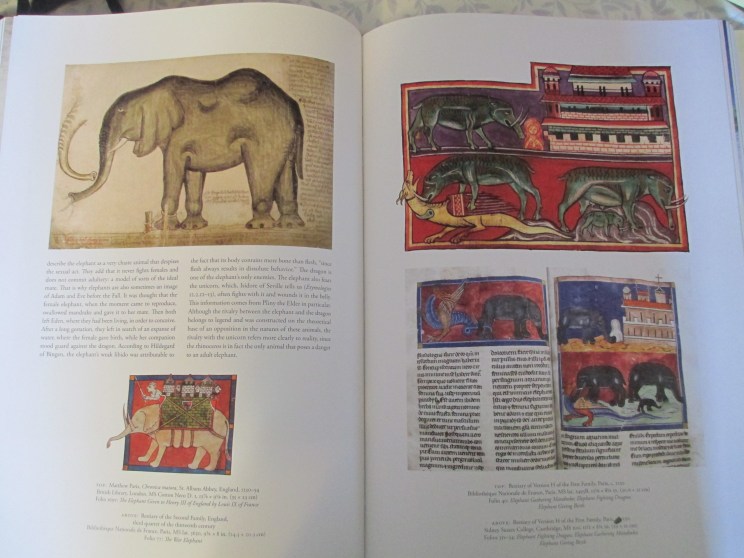 Book Preview: The Grand Medieval Bestiary – Historical Ragbag