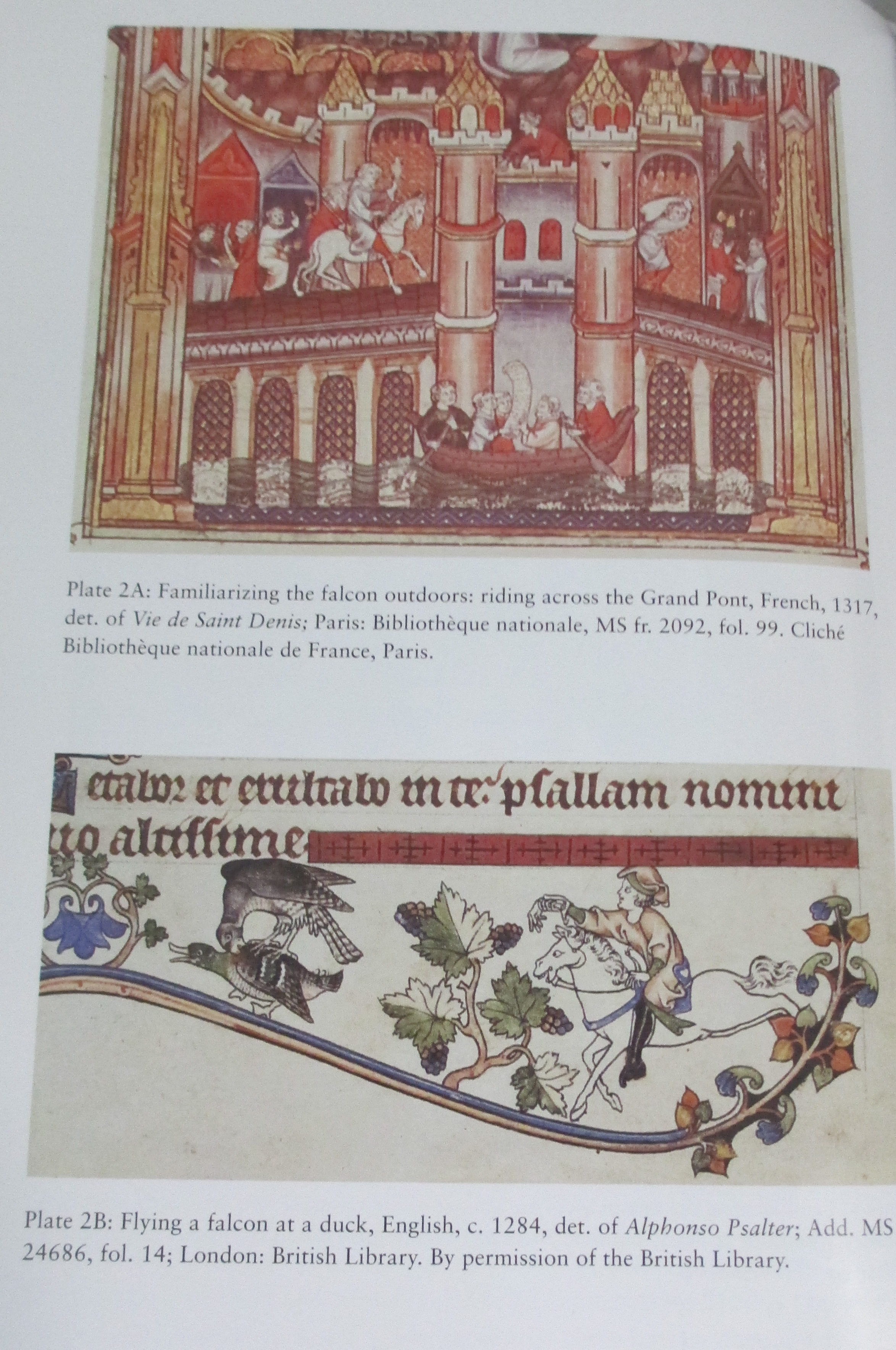Book Preview: The Kings and Their Hawks, Falconry in Medieval England ...
