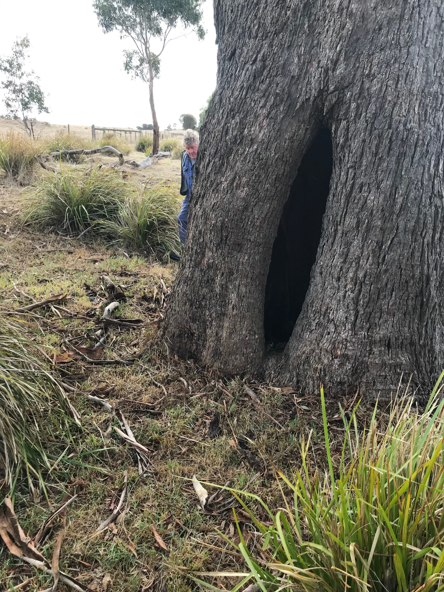 Wil-im-ee Moor-ring Indigenous Stone Quarry – Historical Ragbag