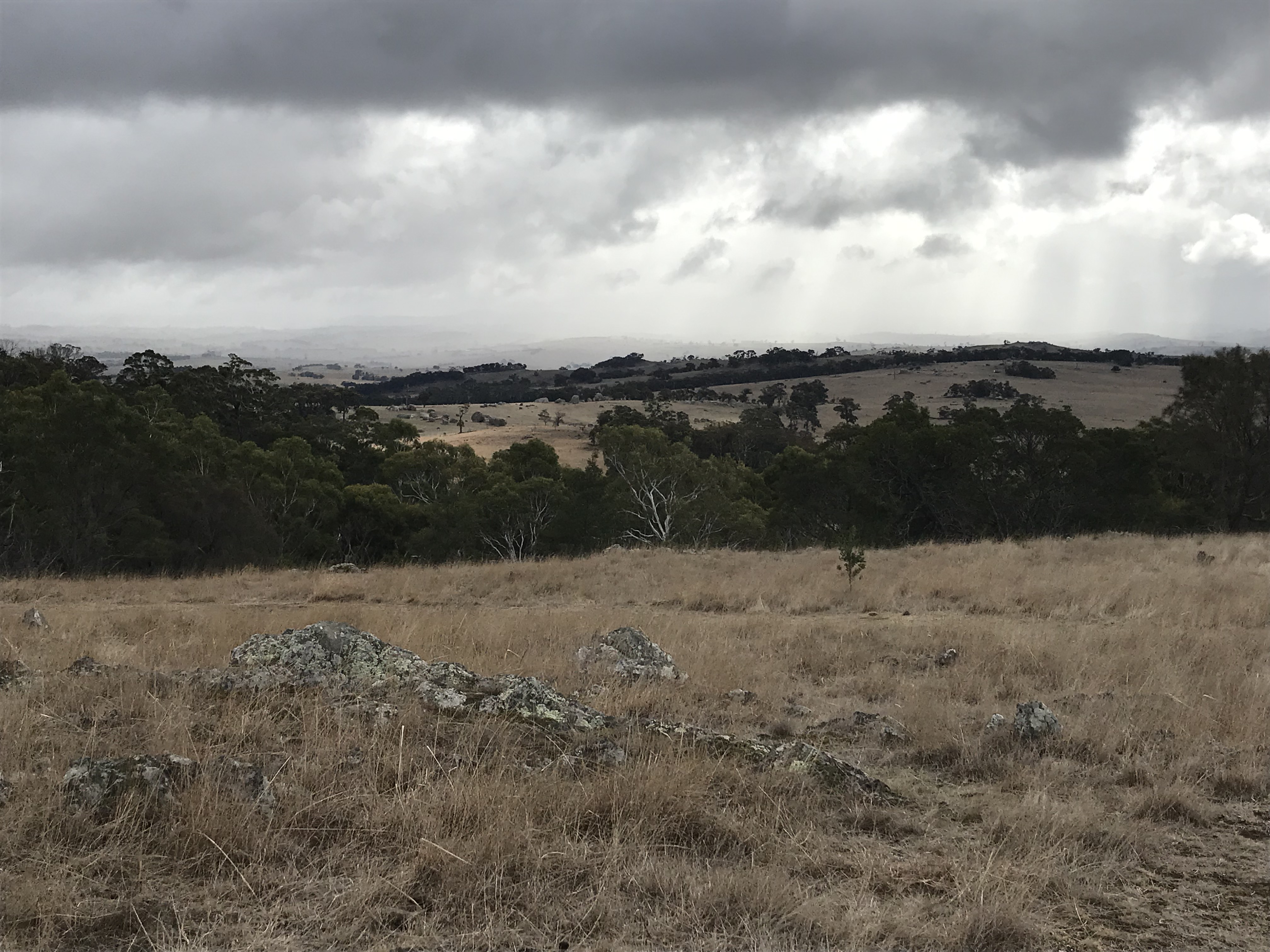 Wil-im-ee Moor-ring Indigenous Stone Quarry – Historical Ragbag