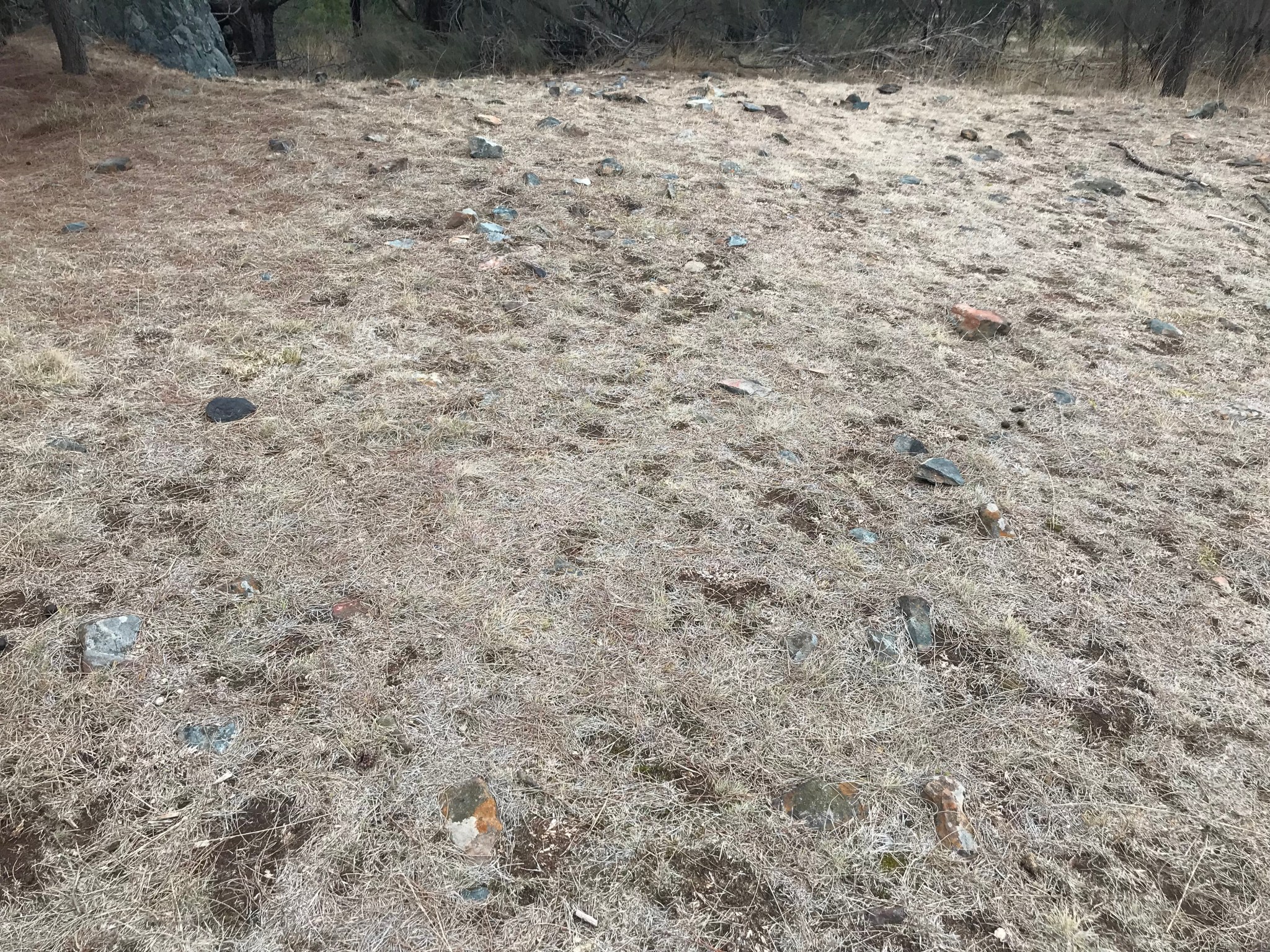 Wil-im-ee Moor-ring Indigenous Stone Quarry – Historical Ragbag