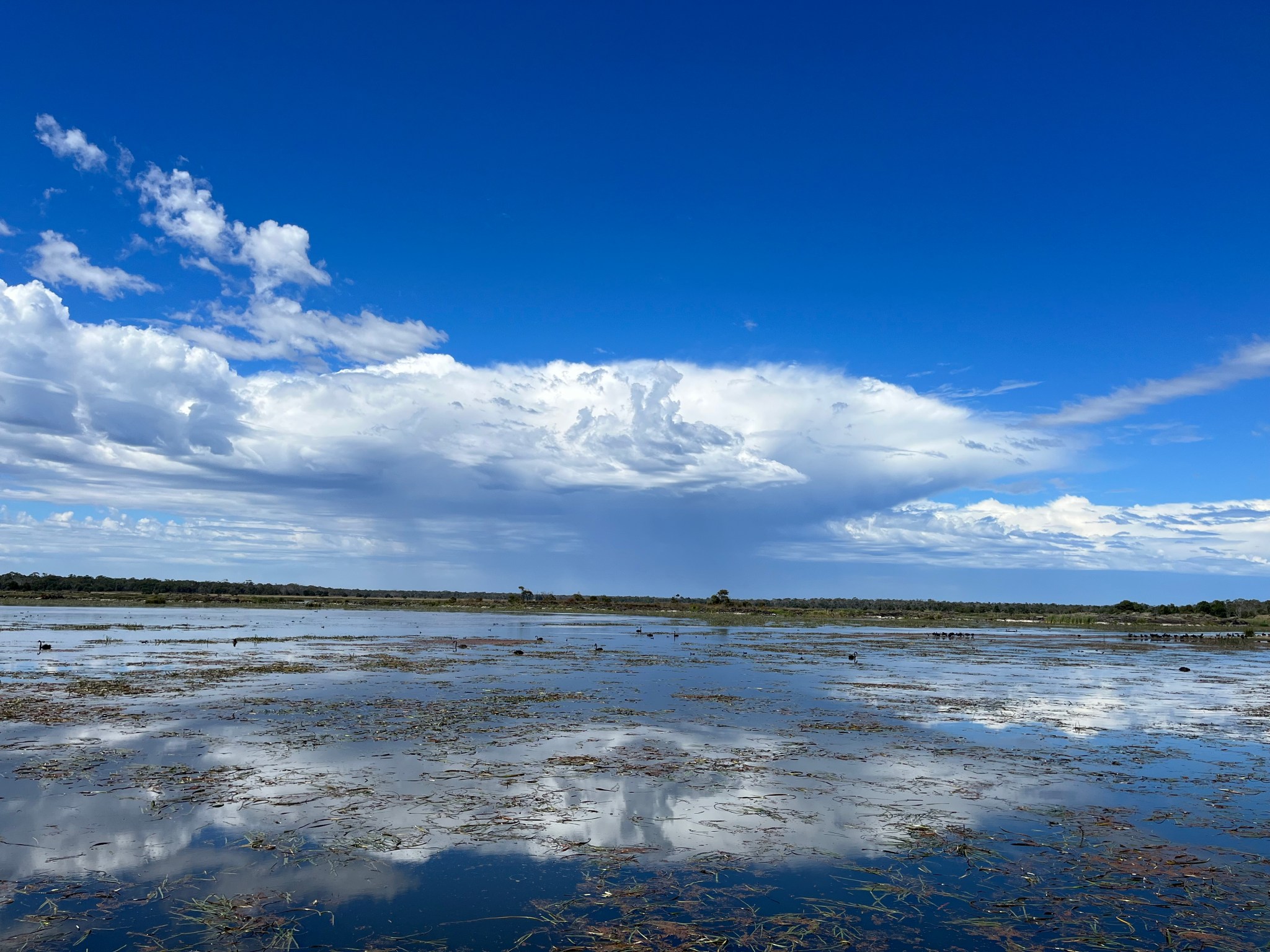 Tae Rak: Budj Bim World heritage landscape – Historical Ragbag