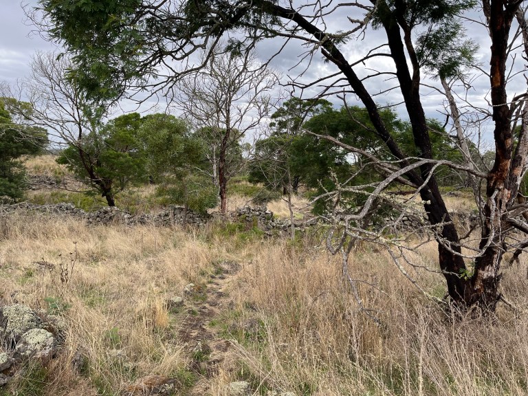 Tae Rak: Budj Bim World heritage landscape – Historical Ragbag