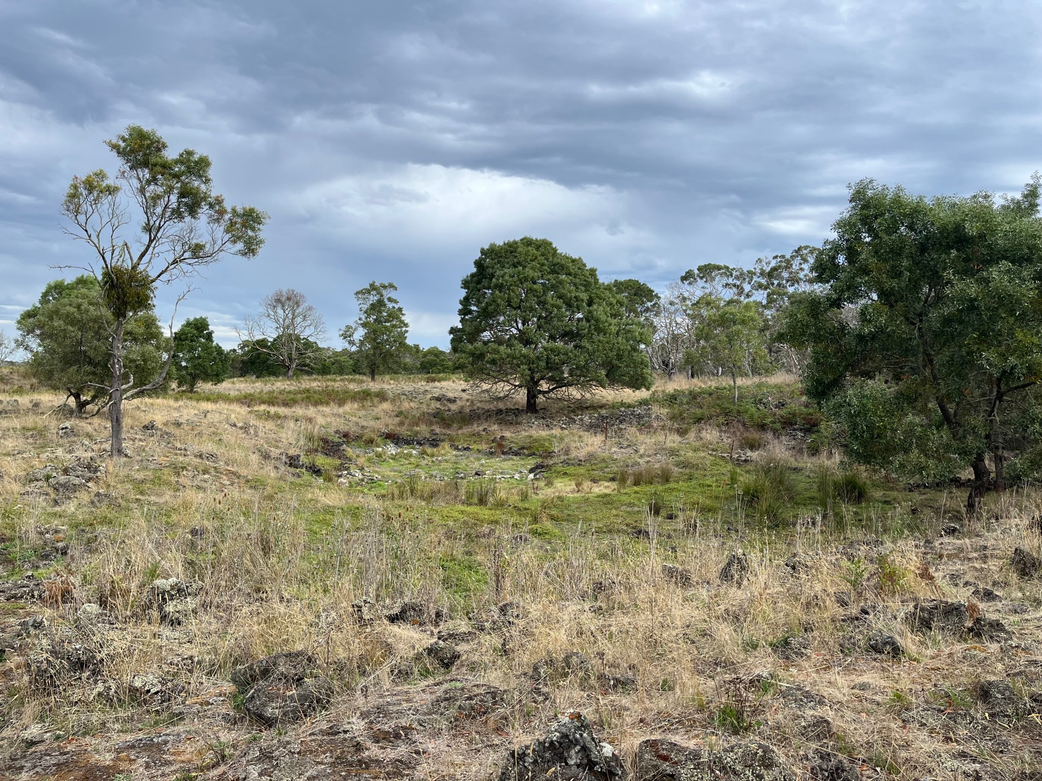 Tae Rak: Budj Bim World heritage landscape – Historical Ragbag